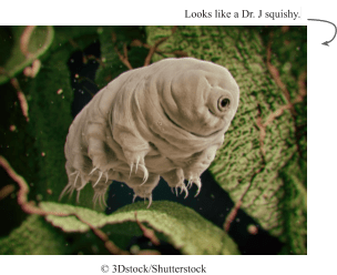 Tardigrades: The Most Invincible Creatures on the Planet - Wavelength